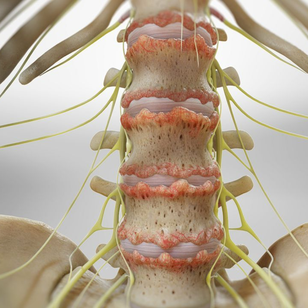 Dr Amit Jain - Ortho Spine and Physio Rehab Center